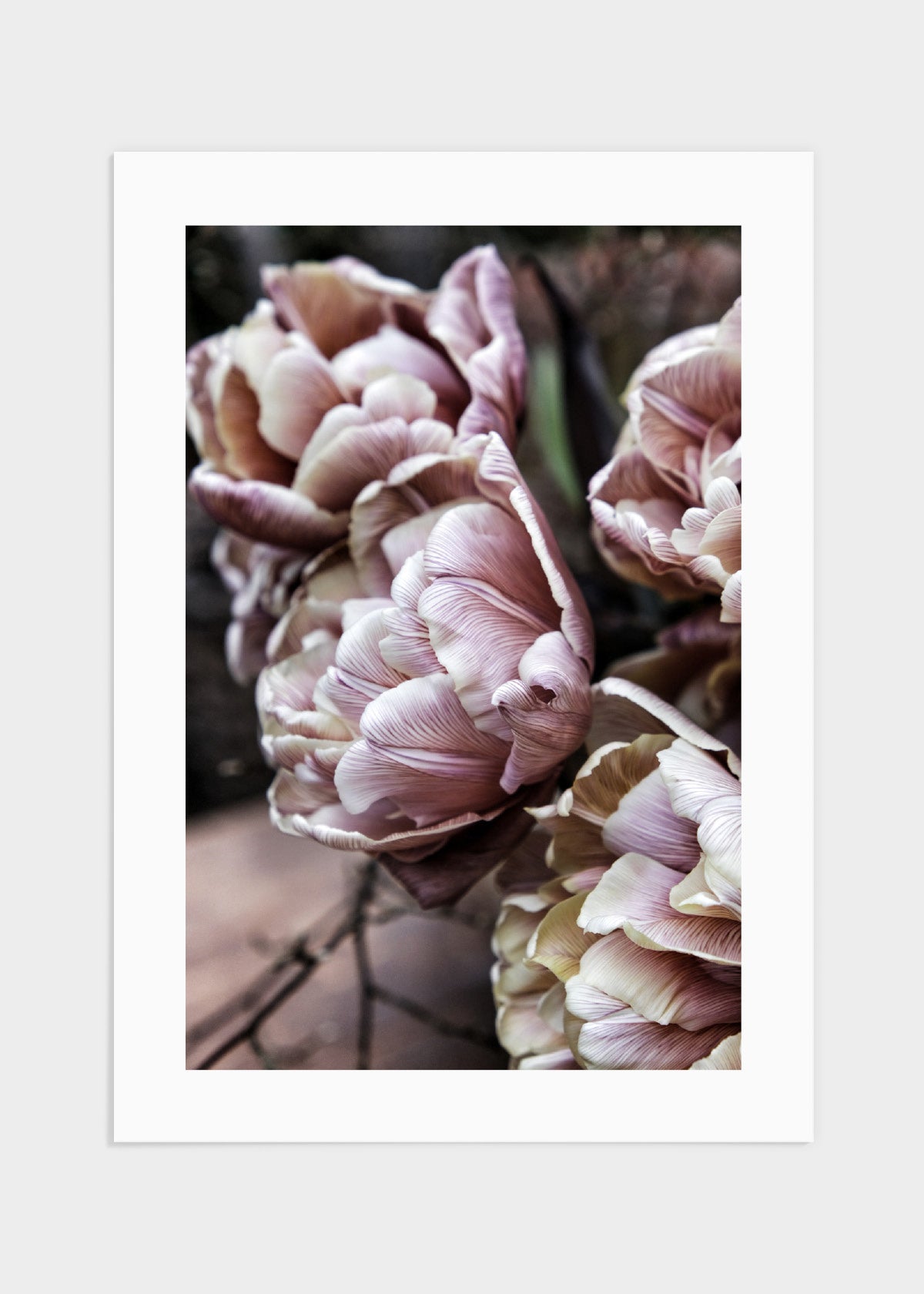 Purple flowers poster — Paper Town AB